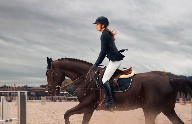 Les muscles que l'on travaille quand on fait du cheval 💪 | Galopyr